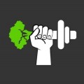 Wat is spieratrofie? | Ins & Outs | Drogespieren.nl